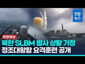 [영상] "SM-3 발사! 타깃 명중!"…정조대왕함 SLBM 요격 훈련 첫 공개